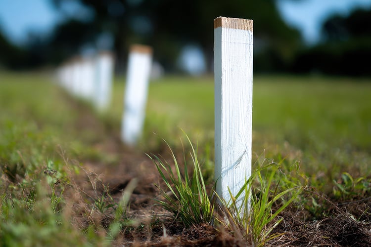 Understanding Property Lines and Fence Laws in Massachusetts